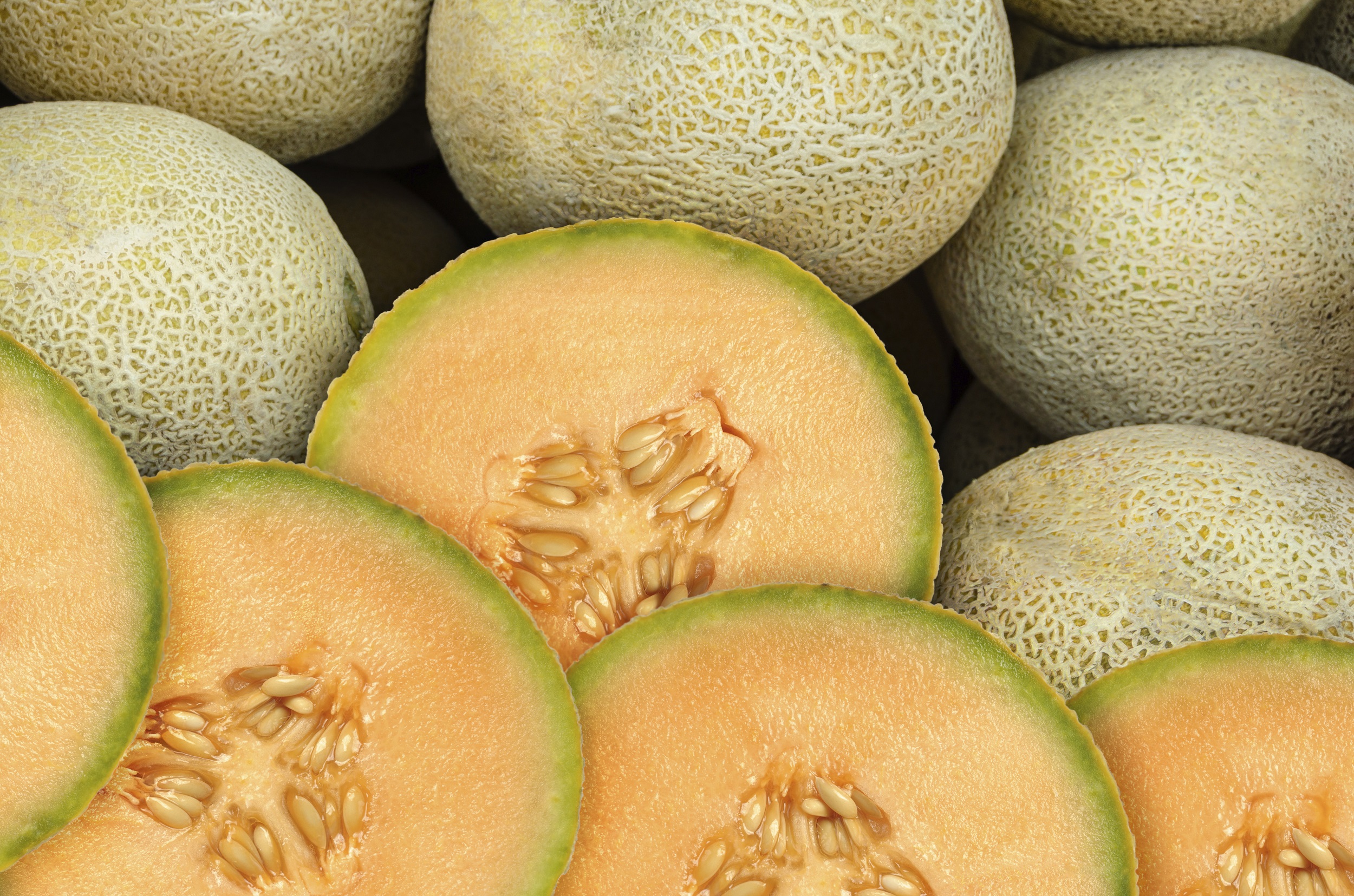 MSC pone en marcha una ruta para enviar melones desde Senegal a España ...